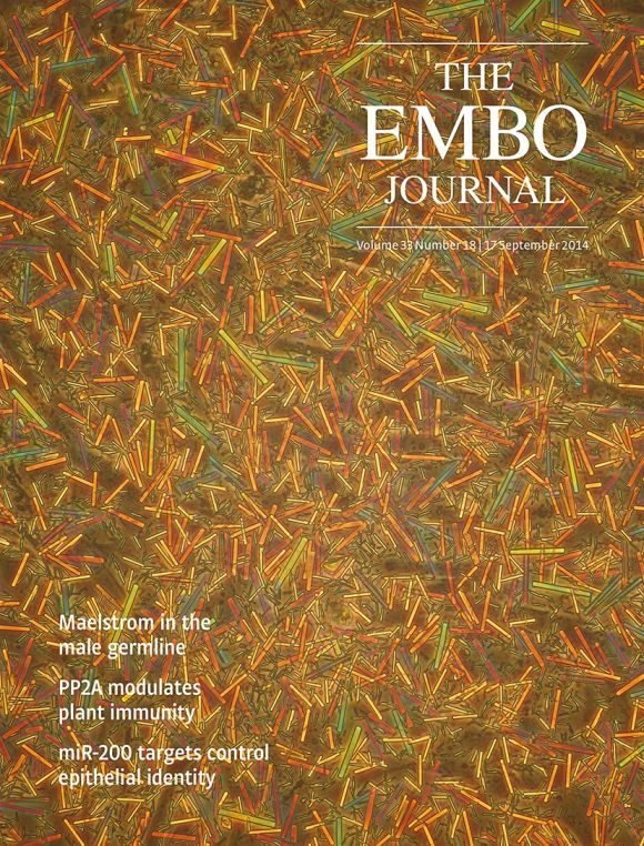 Major Publication in The EMBO Journal | EMPathy BCN